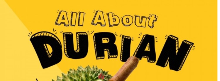 All About Durian | Zipevent - Inspiration Everywhere