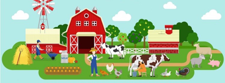 FARM ADVENTURE | Zipevent - Inspiration Everywhere