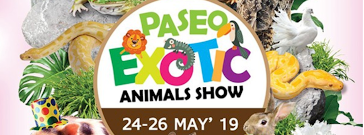 Exotic Animals Show | Zipevent - Inspiration Everywhere
