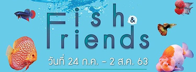 Fish & Friends | Zipevent - Inspiration Everywhere