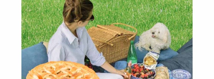 DOGKERY PICNIC IN PET PARQ | Zipevent - Inspiration Everywhere