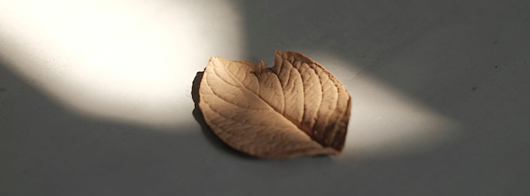 Fallen Cycle | Zipevent - Inspiration Everywhere