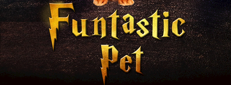 Funtastic Pet | Zipevent - Inspiration Everywhere