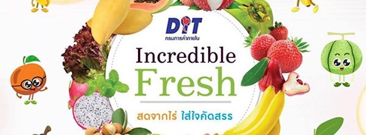 Incredible Fresh | Zipevent - Inspiration Everywhere