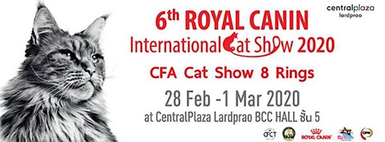 6th Royal Canin International Cat Show 2020 | Zipevent - Inspiration ...