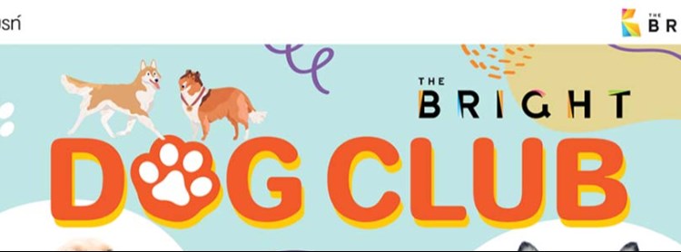 THE BRIGHT DOG CLUB | Zipevent - Inspiration Everywhere