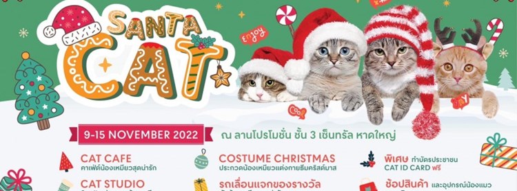 Santa Cat 2022 | Zipevent - Inspiration Everywhere