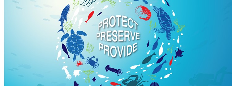 The 2nd Young Ocean for Life Innovation challenge | Zipevent ...