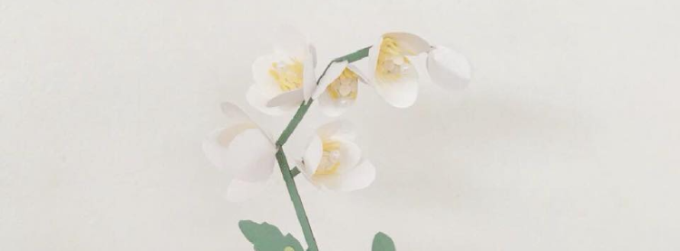 ‘Flower Terrarium’ Paper Craft Workshop | Zipevent - Inspiration Everywhere