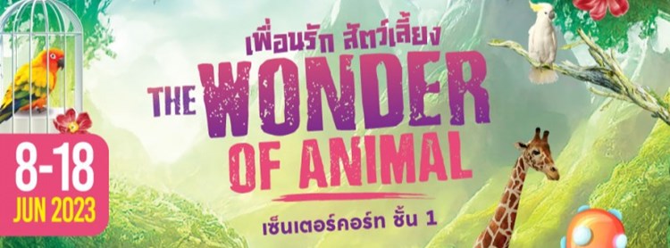 THE WONDER OF ANIMAL | Zipevent - Inspiration Everywhere