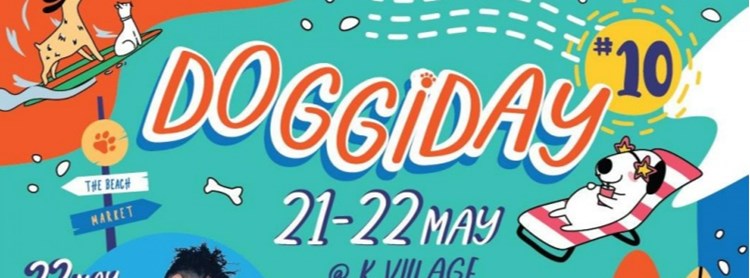 Doggi Day #10 | Zipevent - Inspiration Everywhere