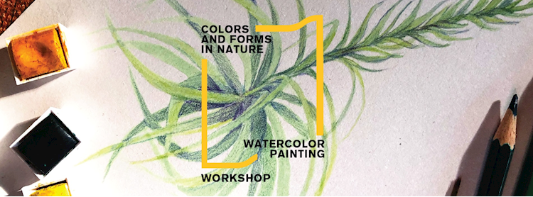 Colors and Forms in Nature | Watercolor Painting Workshop | Zipevent ...