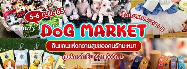 DOG MARKET | Zipevent - Inspiration Everywhere