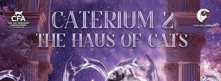 CATERIUM 2: The Haus of Cats | Zipevent - Inspiration Everywhere