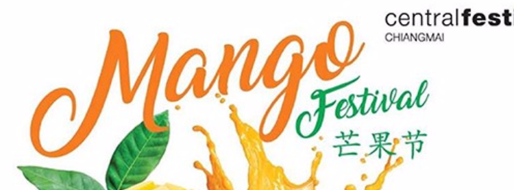MANGO FESTIVAL | Zipevent - Inspiration Everywhere